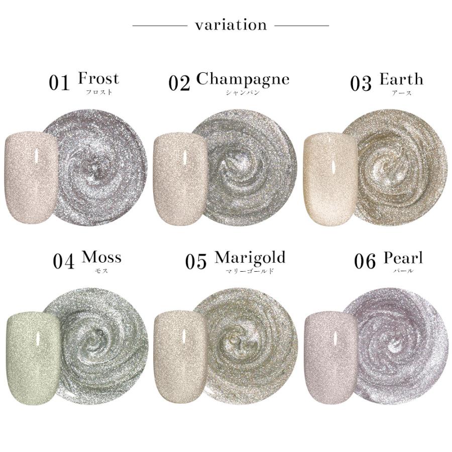 NAILTOWN [6/4 19時発売開始！]輝く粒子 マグネットネイル ネイルタウンジェル ポリッシュタイプ グレースヴェールシリーズ 黒くなりにくい 全10色セット 約5ml ボトル ...