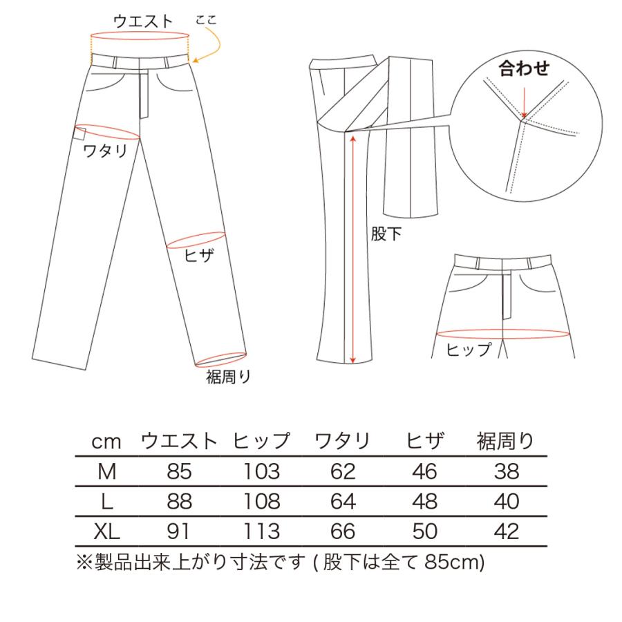 DEGNER デグナー レザーパンツ DP-40 メンズ ブラック プロテクター付き 牛革 : デグナーヤフーショッピング - 通販 - Yahoo!ショッピング