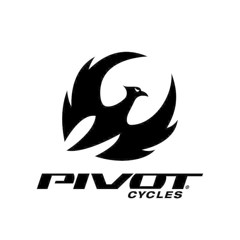 PIVOT 4.6mm FLIP CHIP #14 : DELIGHTED - 通販 - Yahoo!ショッピング