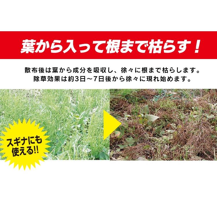 IRIS OHYAMA 除草剤 ストレートタイプ 4L 単品 アイリスオーヤマ 除草 4リットル 草むしり 草 秋 雑草 速効 庭 手入れ ガーデニング 液状 根 SJS-4L 速効除草剤｜R ...