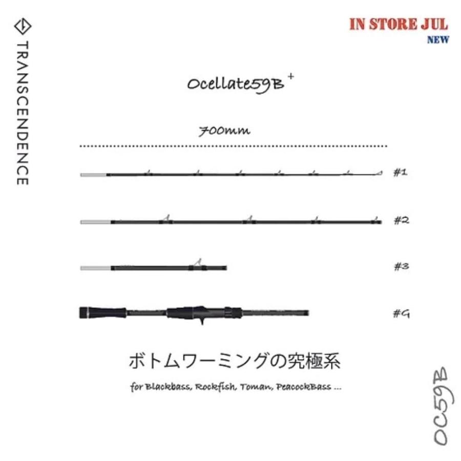 TRANSCENDENCE トランスセンデンス Ocellate オセレート 59B+ パックロッド : ポタリング&フィッシングdenden - 通販 - Yahoo!ショッピング