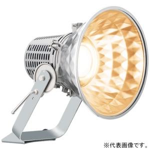 岩崎電気 LED投光器 屋外・屋内用 130Wタイプ 広角タイプ 電球色(2400K) 電源ユニット別置形 E30422W/LSAN8 ...