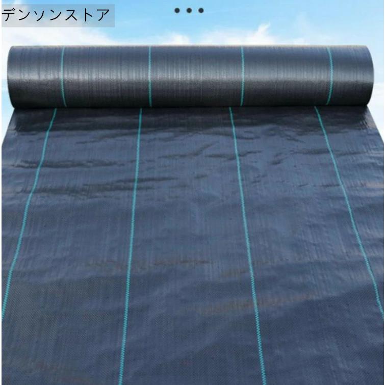 雑草 庭 人工芝 除草シート UV剤入り 草 田んぼ 防草シート 芝生 1m×100m 農用シート ロール 農業 園芸用 雑草防止シート シート ガーデニング 防草 50 : デンソンストア ...