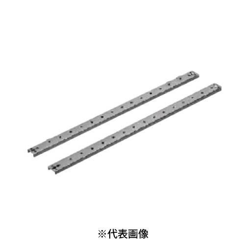 日東工業 BP21-6C 盤用キャビネット パネル用レール タテ寸600mmキャビネット用 レール2本 パネル取付ねじ : 電材 ...