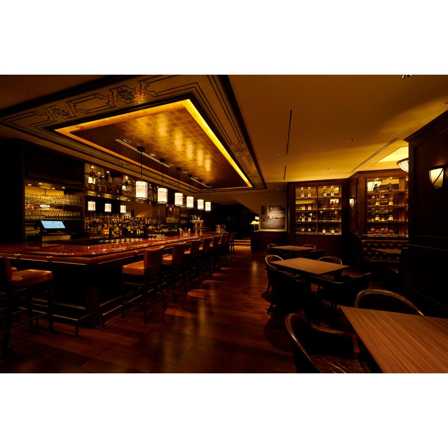 DNライティング 【当日発送OK！】DNライティング FX-LED2-500W-A1-B LEDモジュール 白色相当 4200K 500mm フレキシブル 連結・切断可 [アウトレット ...