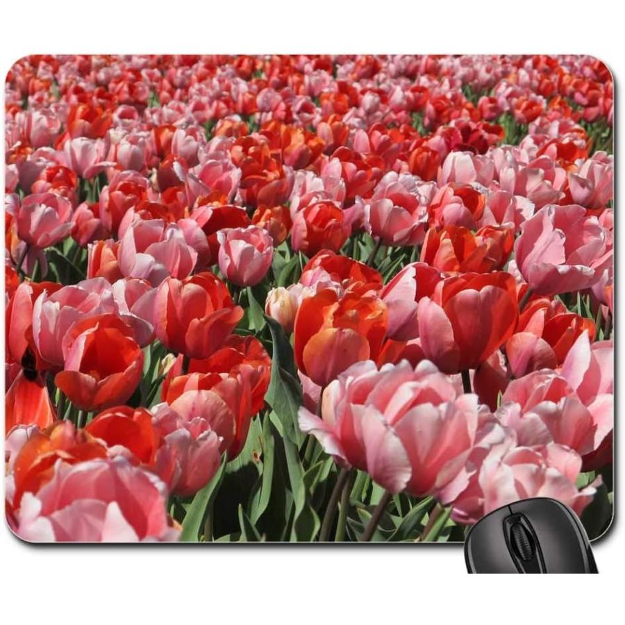 Mouse Pad - Tulips Mass Planting Flowers Landscaping Park 1 並行輸入品 : DreamFactory - 通販 - Yahoo!ショッピング