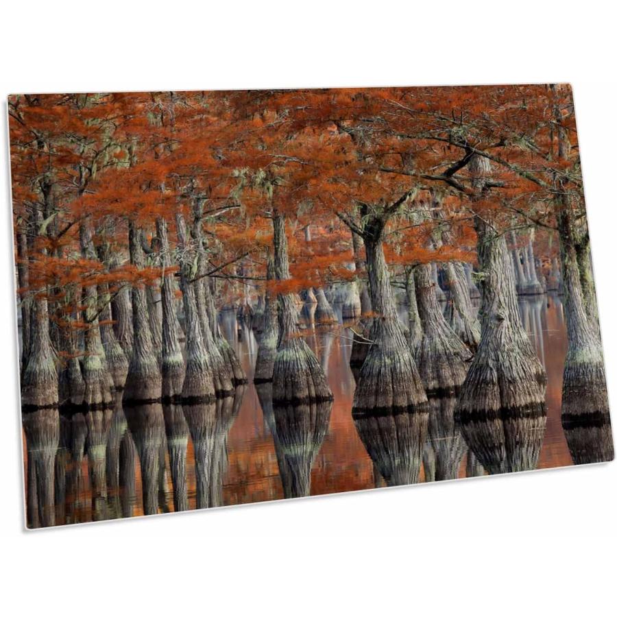 3dRose Georgia Fall Cypress Trees at George Smith State Park. - Desk ...
