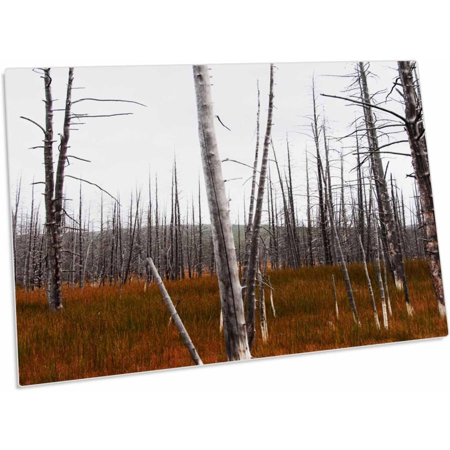 3dRose A Forest Inside Yellowstone National Park in Early Fall - Desk ...
