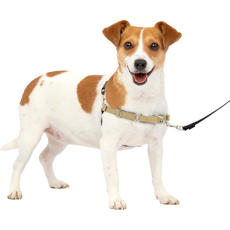 PetSafe 【並行輸入品】 イージーウォークハーネス (S フォーン＆ブラウン) : GoodChoice - 通販 - Yahoo!ショッピング