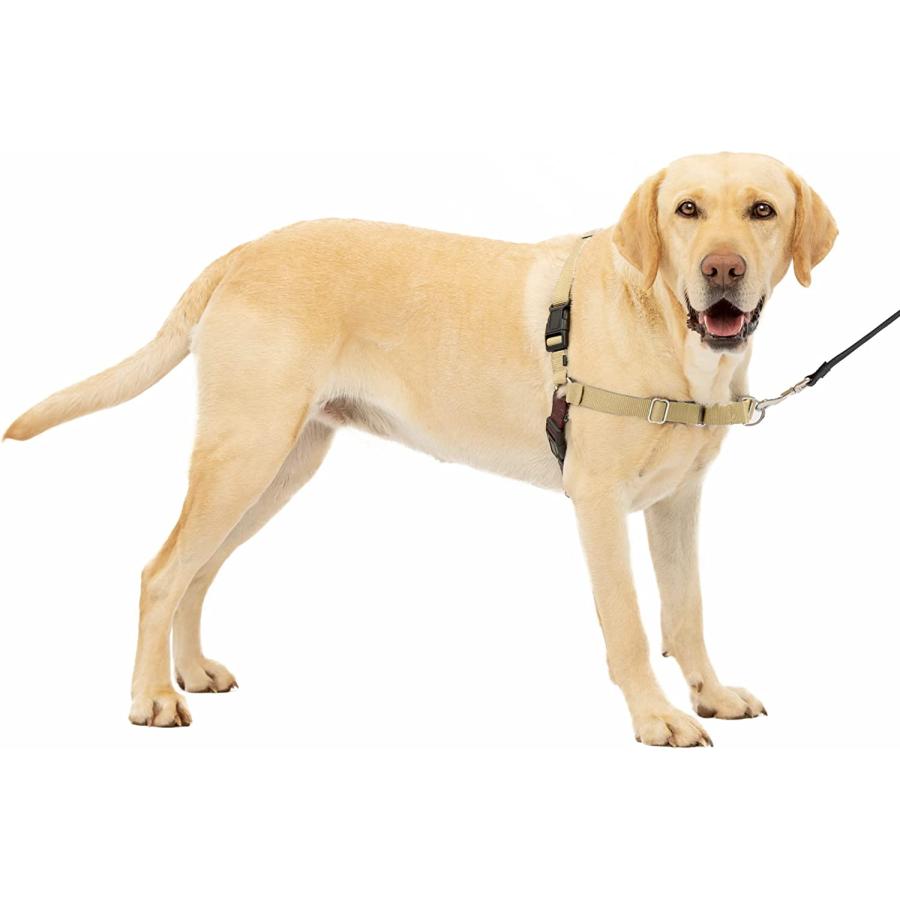 PetSafe イージーウォークハーネス (L フォーン＆ブラウン) 並行輸入品 : GoodChoice - 通販 - Yahoo!ショッピング