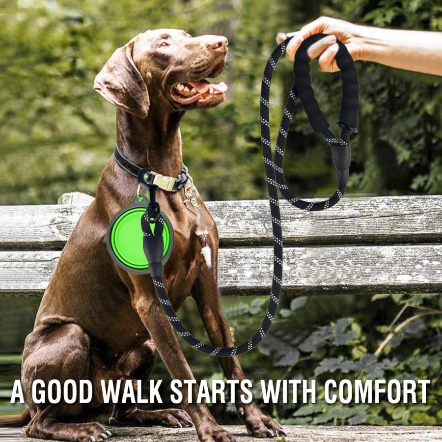 COOYOO 2 Pack Dog Leash 2/5/6 FT Heavy Duty - Comfortable Padded Handle ...