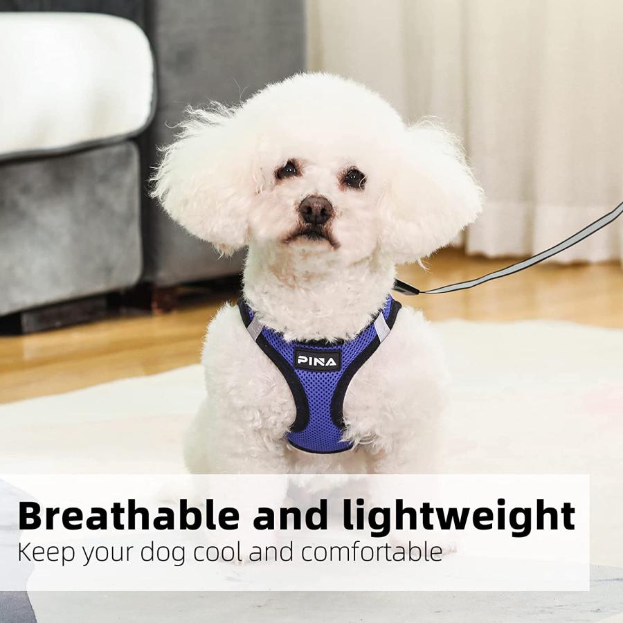 PINA Dog Harness for Small Medium Dogs No Pull and Leash Set ...