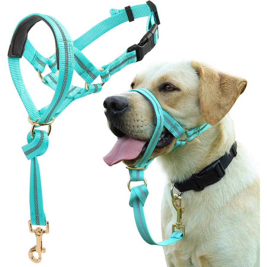 Dog Head Collar No Pull Dog Halter with Soft Padding Durable Reflective ...