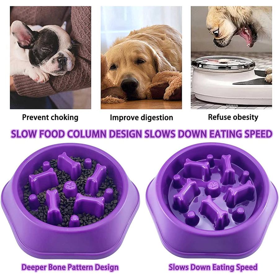 CAISHOW Slow Feeder Dog Bowl Anti Gulping Healthy Eating Interactive ...