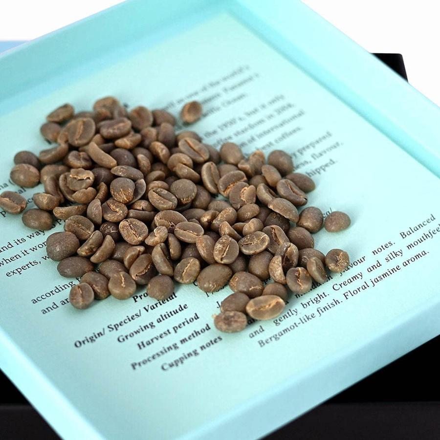 Hayman Coffee 100% Panama Geisha Beans Green To Roast : GoodChoice - 通販 ...