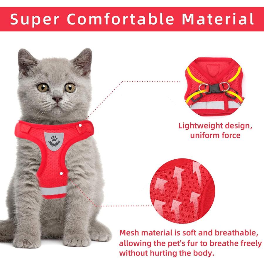 Cat Vest Harness and Small Dog Vest Harness for Walking All Weather ...