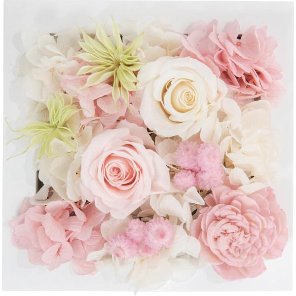 プリザーブドウォールフラワー スクエア ピンク ncr-wallpri02-pi | 24-0014-030 造花 置物 飾り フラワー : DE(desir de vivre) - 通販 ...