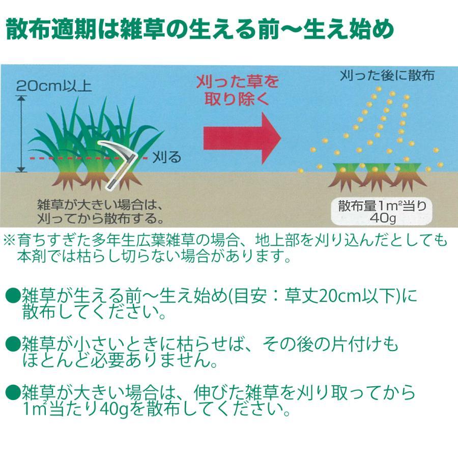 レインボー薬品 除草剤 こっぱみじんM 3kg 家庭用 まくだけ 雑草 : トキワダイレクト ヤフー店 - 通販 - Yahoo!ショッピング