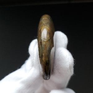 美品 アンモナイト 化石 本物 マダガスカル産 37.64mm プレゼント ギフト an509 :an509:化石専門店 LOLO - 通販 ...