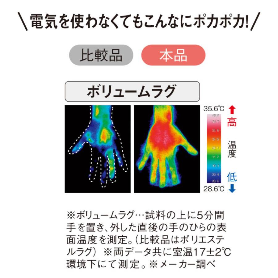 dinos ≪90×190cm≫ あたたかさが続く！ヒートループ（R）ハイパーボリュームラグ カーペット ラグ マット カバー 611014 : ディノス Yahoo!ショッピング店 - 通販 ...