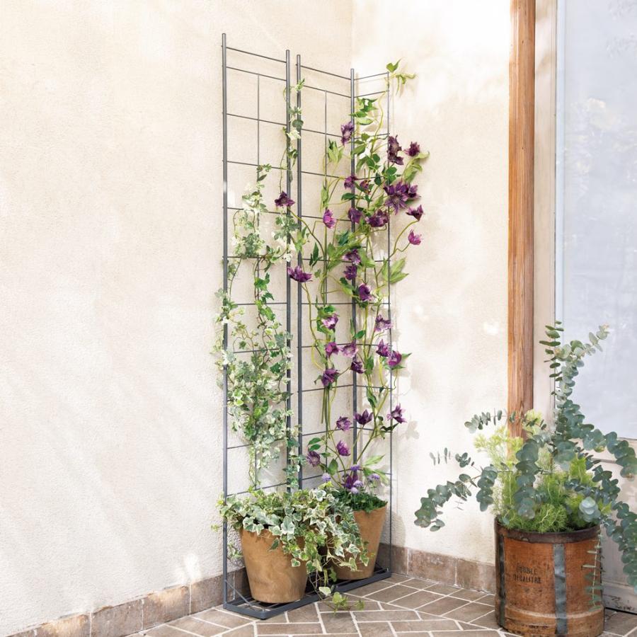 dinos 玄関にぴったり！省スペーストレリス L字 G86205 : ディノス Yahoo!ショッピング店 - 通販 - Yahoo!ショッピング