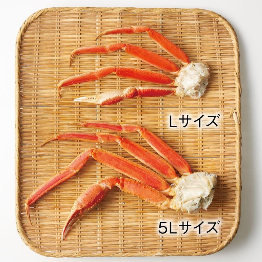 海産物 魚 海産 生鮮品 特大ワケありズワイガニの脚 2kg（5Lサイズ） FF9205 :1341900317:ディノス Yahoo!ショッピング店 - 通販 - Yahoo!ショッピング