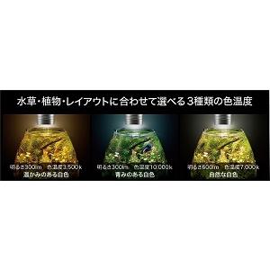 GEX 新商品 GEX クリアLED リーフグロー EX CLEAR LED LEAF GLOW 小型水槽 コンパクト水槽 ボトルアクアリウム 水草 植物 熱帯魚 照明 : ディスカウント ...