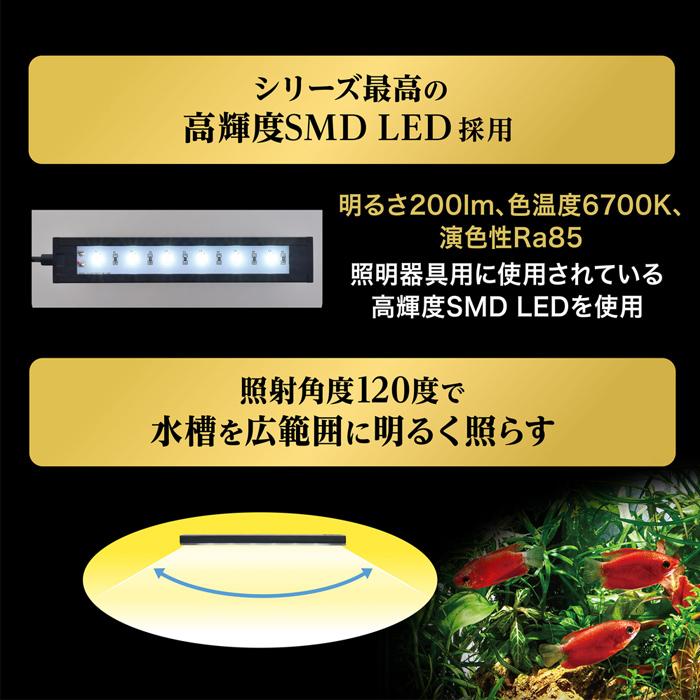 GEX 【新商品】 クリアLED フラッティパワー 150BK 小型水槽 コンパクト水槽 熱帯魚 水草 照明器具 CLEAR LED FLATTY POWER : ディスカウントアクア ...