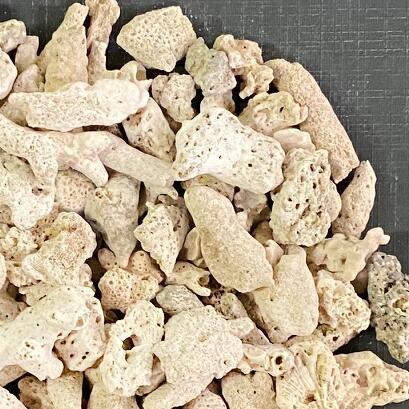 ジュン(ペット用品) JUN 極上サンゴ NO.15 内容量 5kg 底床 海水 サンゴ砂 : ディスカウントアクア - 通販 - Yahoo!ショッピング