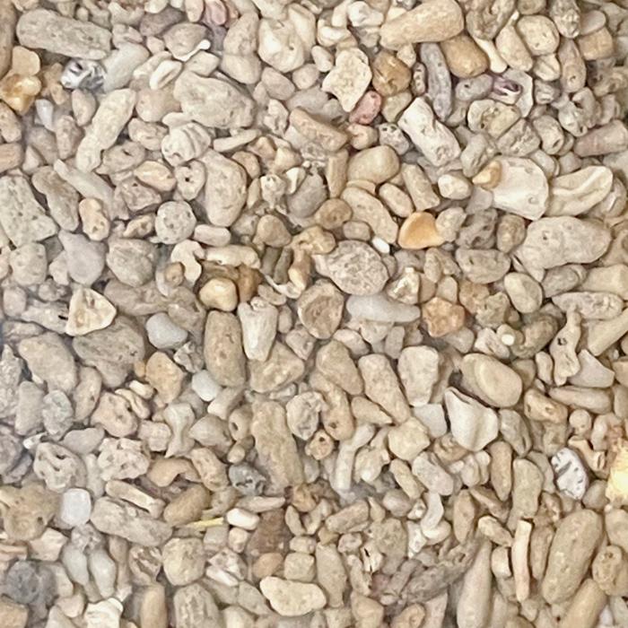 ジュン(ペット用品) JUN 極上サンゴ NO.5 内容量 5kg 底床 海水 サンゴ砂 : ディスカウントアクア - 通販 - Yahoo!ショッピング