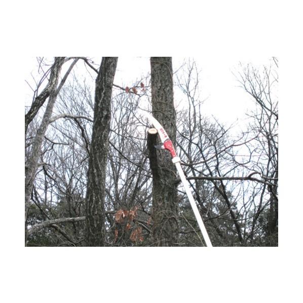 ニシガキ 枝打ち一発(伸縮式枝打ち鋸) 4m N-761 : DIY FACTORY ONLINE SHOP - 通販 - Yahoo!ショッピング