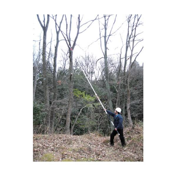 ニシガキ 枝打ち一発(伸縮式枝打ち鋸) 4m N-761 : DIY FACTORY ONLINE SHOP - 通販 - Yahoo!ショッピング