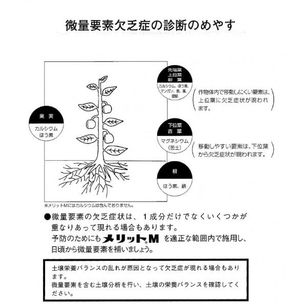生科研 農薬 メリットM 20kg : DIY FACTORY ONLINE SHOP - 通販 - Yahoo!ショッピング