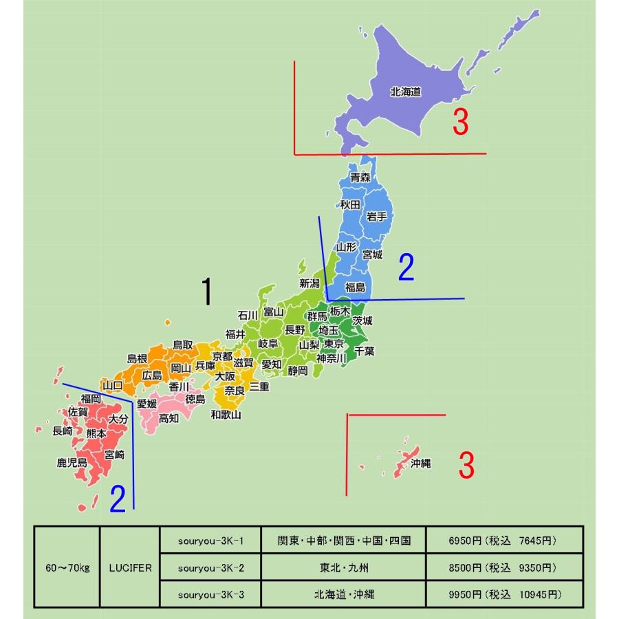 DMDヒッチ LUCIFER ハイエース200系ワイド E級 3本出しキャリア LF-HE4E-3 : DMD-Yahoo!ショップ - 通販 - Yahoo!ショッピング