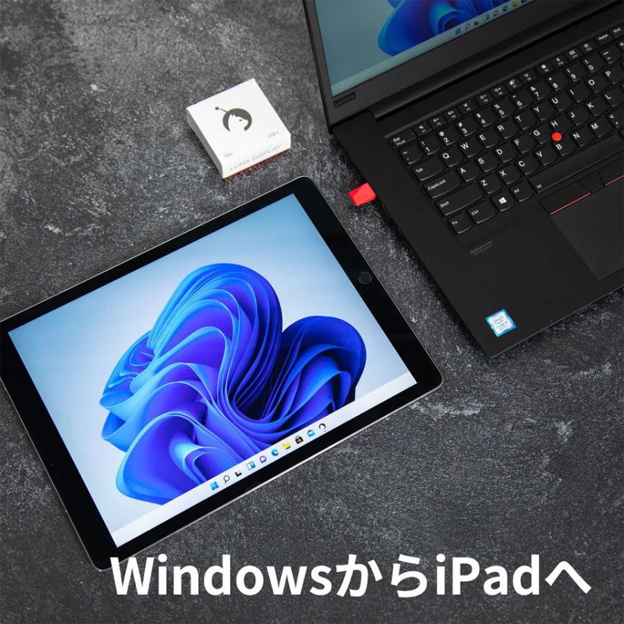 Astro HQ LLC (ATR-LUNAUSBC-1) Luna Display (USB Type-C用) (iPadサブディスプレイ化 ...