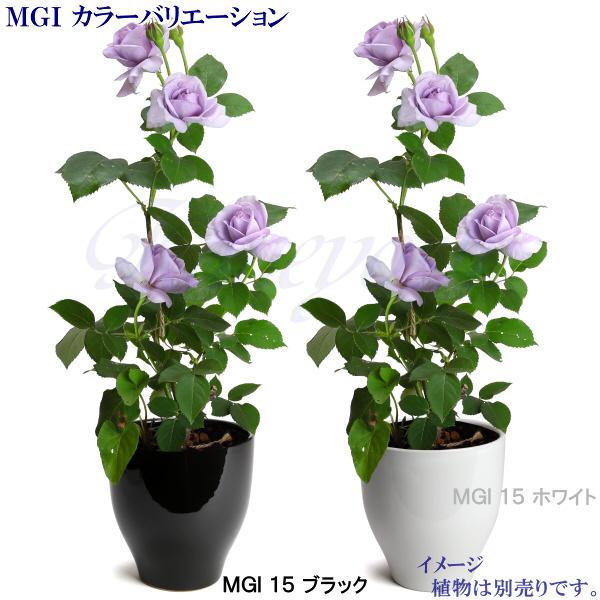 植木鉢 おしゃれ 安い 陶器 サイズ 15cm MGI-15 5号 ホワイト 室内 屋外 白 色 : 植木鉢 メダカ鉢 七輪のどっちゃん - 通販 - Yahoo!ショッピング