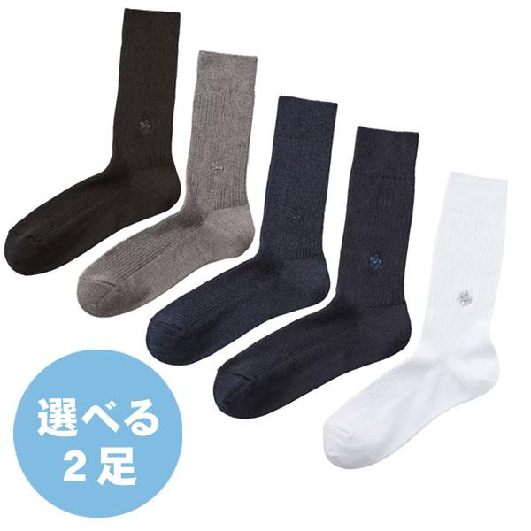 GUNZE グンゼ ポロ・ビーシーエス 選べる5種類 2足セット メール便送料無料 管理番号012403 polo 靴下 紳士 : ディスカウントショップドジャース - 通販 - Yahoo ...