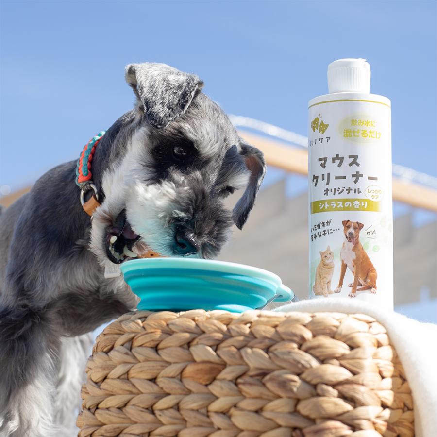 ケーピーエス KPS ハノケア マウスクリーナー オリジナル 118ml 賞味期限:2027/8/12 : 豊富な品揃えペット用品店ぺネット - 通販 - Yahoo!ショッピング