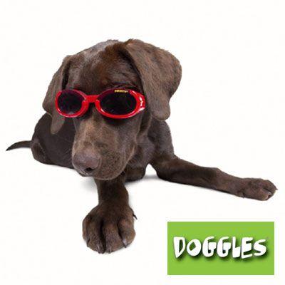 犬用ゴーグル ドグルス Doggles ILS2 Leopard Frame Smoke Lens（ILS2犬用ゴーグル/ヒョウ柄/ミラー ...