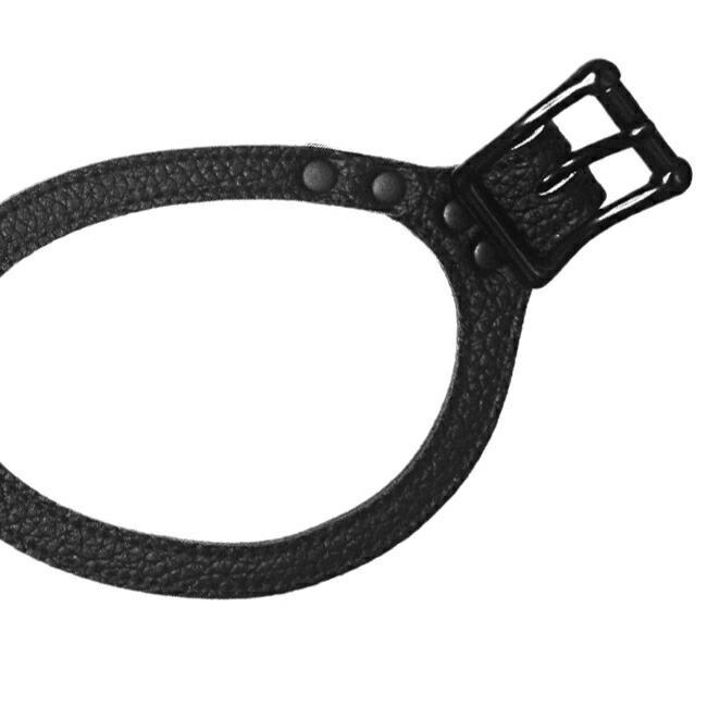 バディーベルト ハーネス 4.5号 ブラックナイト スワロフスキークリスタル付 Black Knight 小型犬 ペット レザー 本革 BUDDYB : DogSkip Yahoo!店 ...