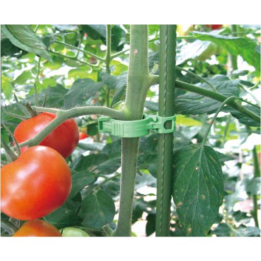 しちゅうキャッチ11 白 24P シーム : ドンドンエース - 通販 - Yahoo!ショッピング