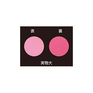 大正製薬 口内炎パッチ大正クイックケア10枚【指定第2類医薬品】ポイント利用 : どらどらドラッグ - 通販 - Yahoo!ショッピング