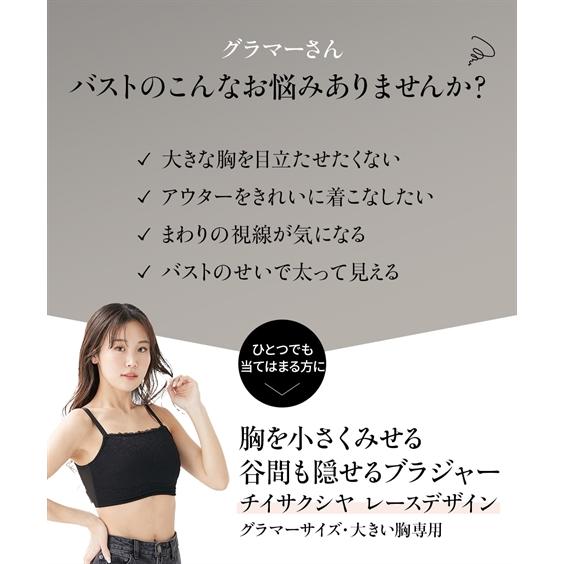 ブラジャー (D70-I95) ニッセン 胸を小さくみせる 谷間も隠せる チイサクシヤ レースデザイン グラマーサイズ・大きい胸専用 女性 下着 レディース : Doris mieux by ...