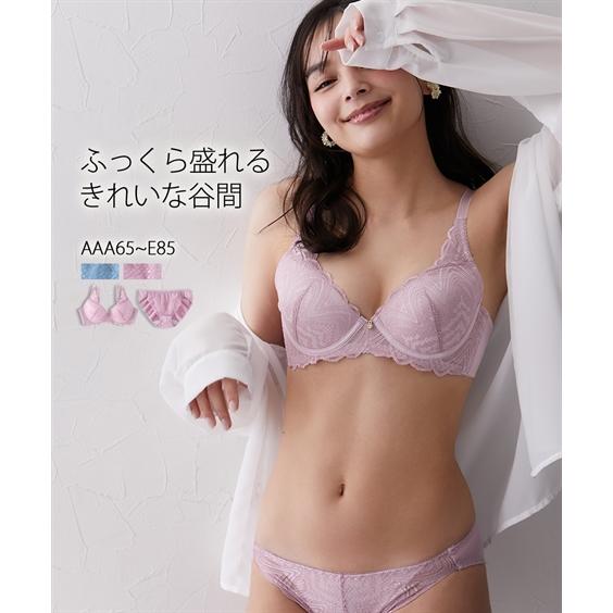 ニッセン ブラショーツセット (AAA65/M-E85/LL) エイミー レース ブラショーツ セット 女性 下着 レディース ブラジャー ショーツ 小胸 谷間 可愛い : Doris ...