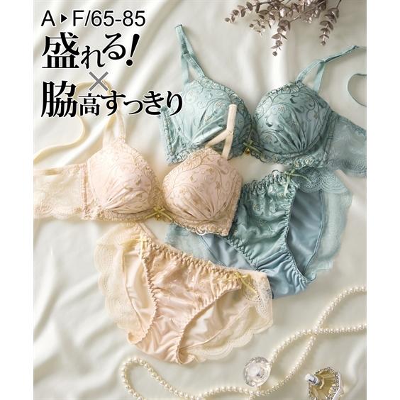 ニッセン ブラショーツセット (A70/M-F85/LL) 脇高 エレガント レース ブラショーツ セット 女性 下着 レディース ブラジャー ショーツ 盛り 小胸 谷間 : Doris ...