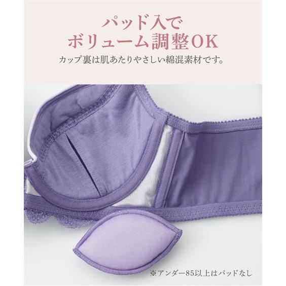 ニッセン ブラ＆ショーツ セット (E85/LL-F95/4L) 大きいサイズ 脇高 編レース ブラジャー ショーツセット ( トリンプ ) 女性 下着 レディース 小胸 谷間 : Doris ...