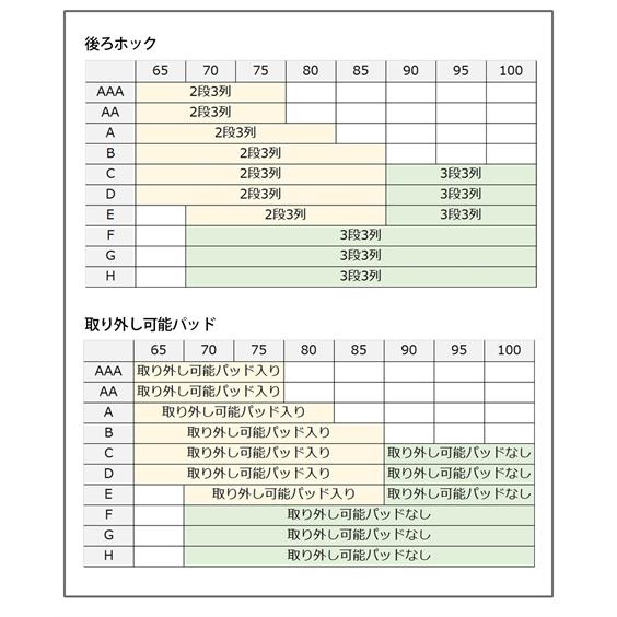ブラ＆ショーツ (AAA65/M-D80/L) カラー ランジェリー ブラジャー ショーツ セット ニッセン ブラショーツ 下着 インナー レディース 女性 谷間 セクシー ...