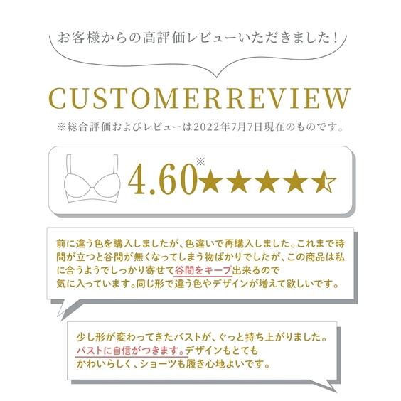 (B70/M-D80/L) Wでバストをあげる ブラジャー ショーツセット ( トリンプ ) ニッセン 女性 盛り 小胸 谷間 セクシー かわいい下着 脇高 ブラ 3/4カップ ...