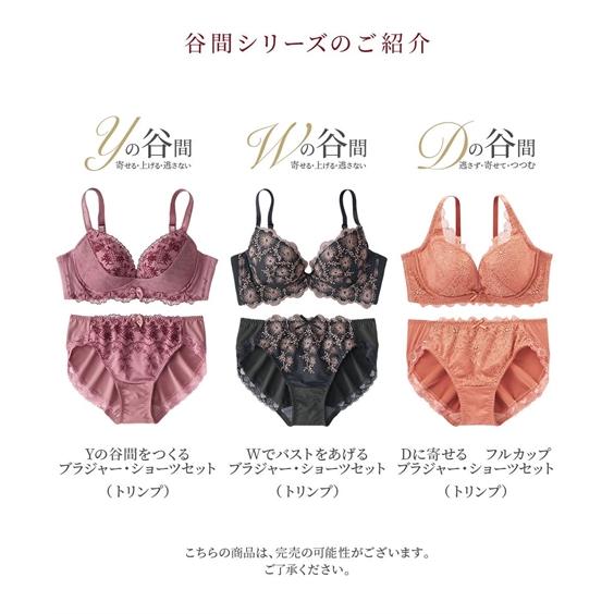 (B70/M-D80/L) Wでバストをあげる ブラジャー ショーツセット ( トリンプ ) ニッセン 女性 盛り 小胸 谷間 セクシー かわいい下着 脇高 ブラ 3/4カップ ...