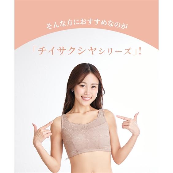 ニッセン ブラジャー (G85-G100) 大きいサイズ 胸を小さくみせる 谷間隠し ノンワイヤーブラ チイサクシヤ グラマーサイズ・大 女性 下着 レディース フルカップ : Doris ...